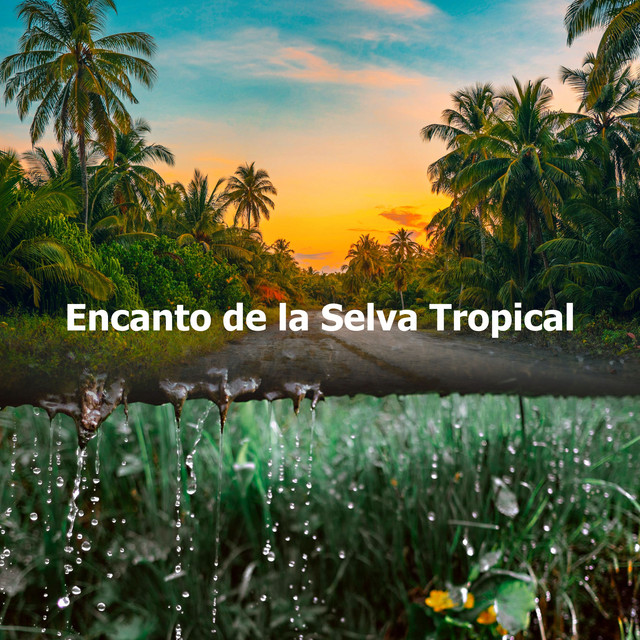 Encanto de la Selva Tropical - Album by Musica de Relajación Academy ...