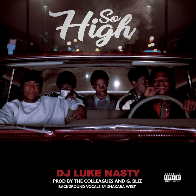 So High - Single by DJ Luke Nasty | Spotify