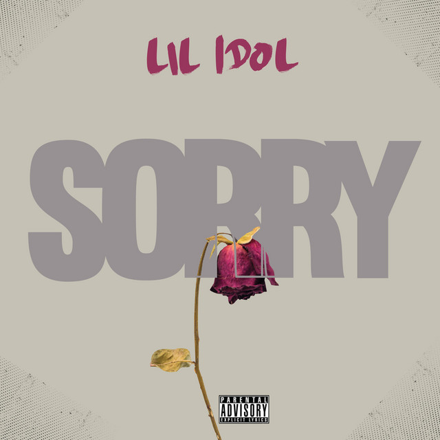 Sorry - Single by Lil Idol | Spotify