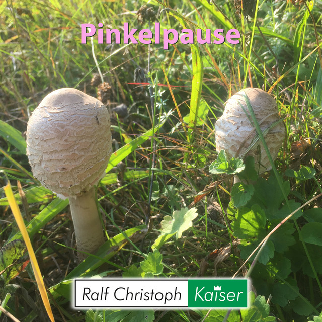 Pinkelpause - Album by Ralf Christoph Kaiser | Spotify