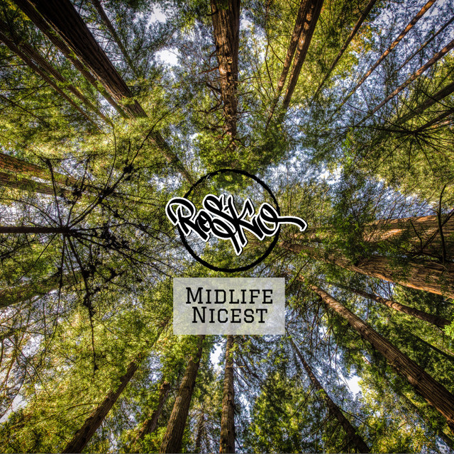 Midlife Nicest - Album by Rosko Lewis | Spotify