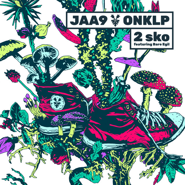 2 Sko - Single by Jaa9 & Onklp | Spotify
