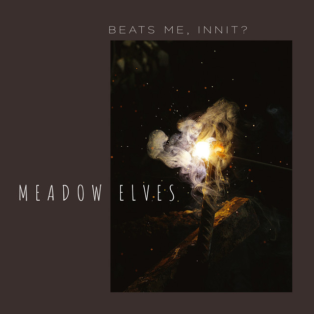 Meadow Elves - Single by Beats Me, Innit? | Spotify