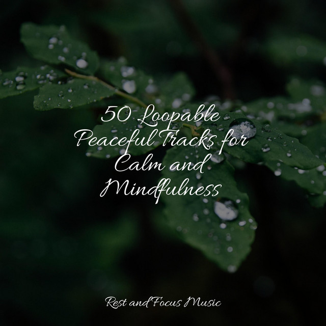 50 Loopable Peaceful Tracks for Calm and Mindfulness - Album by White ...