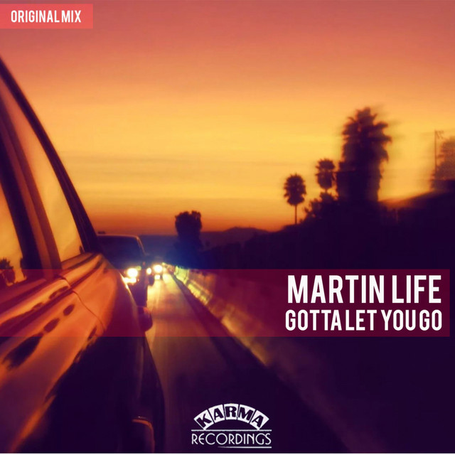 Gotta Let You Go - Single by Martin Life | Spotify