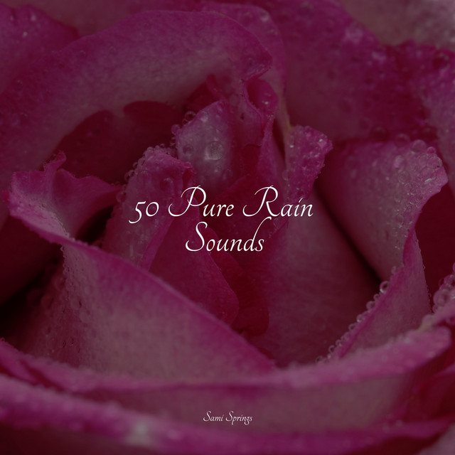 50 Pure Rain Sounds - Album by Water Sounds for Sleep | Spotify