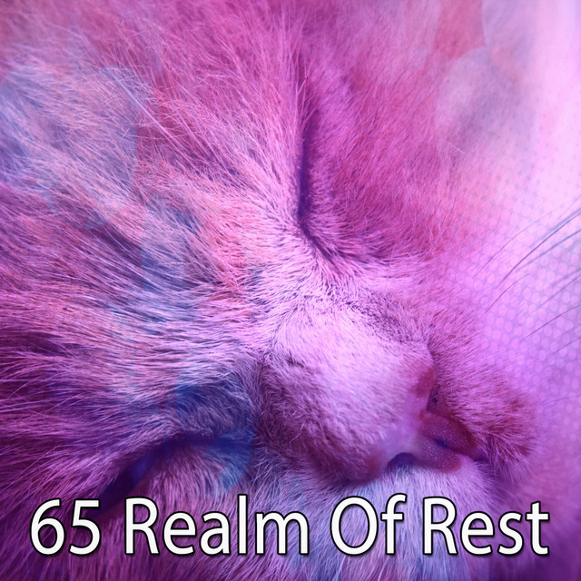 65 Realm Of Rest - Album by Smart Baby Lullaby | Spotify