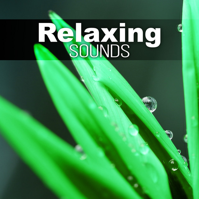 Relaxing Sounds - The Powerful Women, Meditate and Feel Your Energy ...