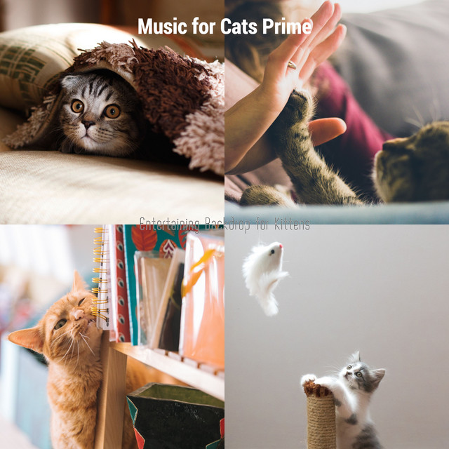 Entertaining Backdrop for Kittens - Album by Music for Cats Prime | Spotify