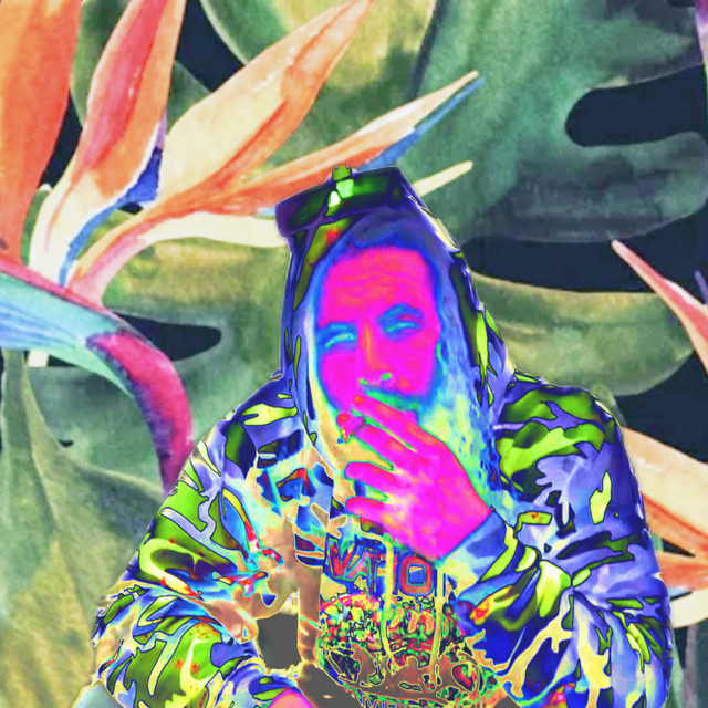 BIRDS of PARADISE - Single by Josh Rose 2020 | Spotify