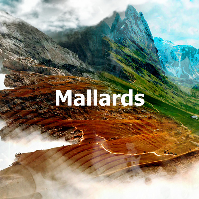 Mallards - Album by Nature & Sounds Backgrounds | Spotify