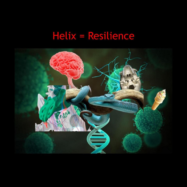 Shake a Helix - song and lyrics by Serpentine Caroline | Spotify