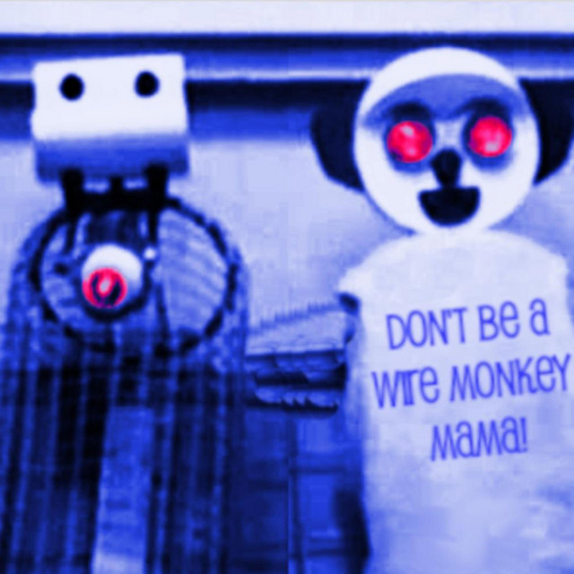 Wire Monkey Mama Remastered - Single by Wire Monkey Mama | Spotify