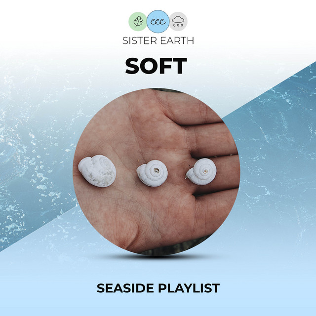 Soft Seaside Playlist - Album by Ocean Sounds | Spotify