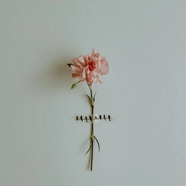 Murphy Wallace | Spotify