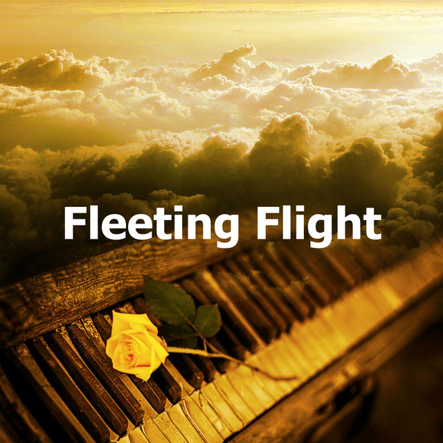 Fleeting Flight - Album by Piano Pianissimo | Spotify