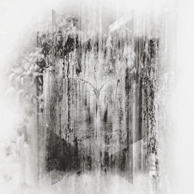 Grey Fluorescence - song and lyrics by Three Point Circle, K. Leimer ...