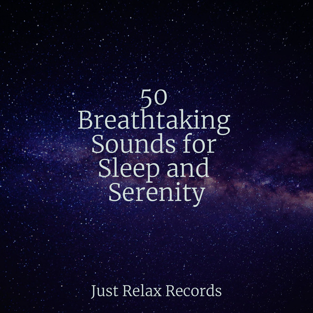 Enchanted Euphoria's Flight - song by Rest & Relax Nature Sounds ...