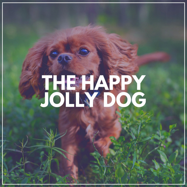 The Happy Jolly Dog - Album by Dog Music | Spotify