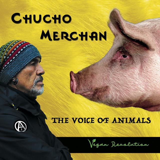 Chucho Merchán - Songs, Events and Music Stats | Viberate.com