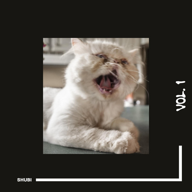 Vol. 1 - Album by Shubi | Spotify
