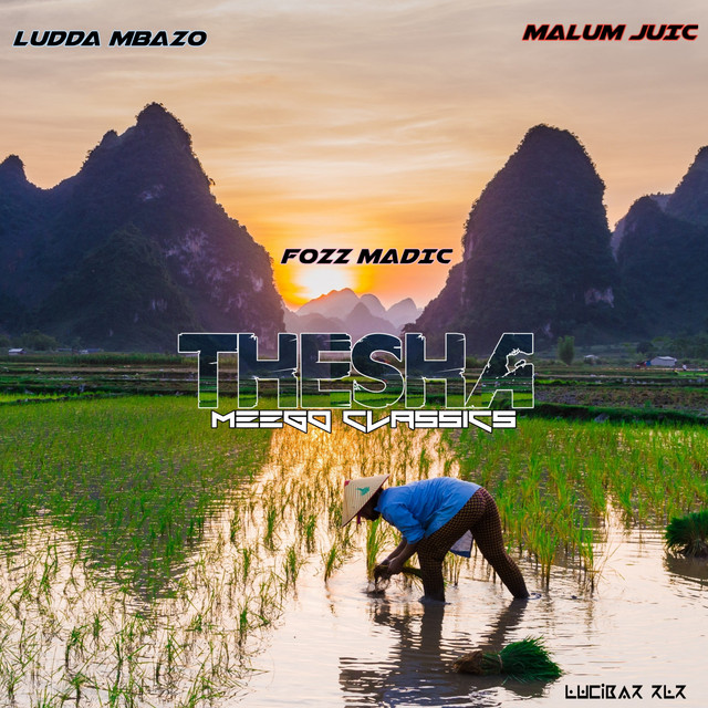 Thesha - Single by Meego Classics | Spotify
