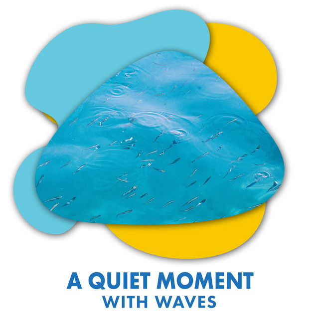 A Quiet Moment with Waves - Album by Ocean Sounds | Spotify