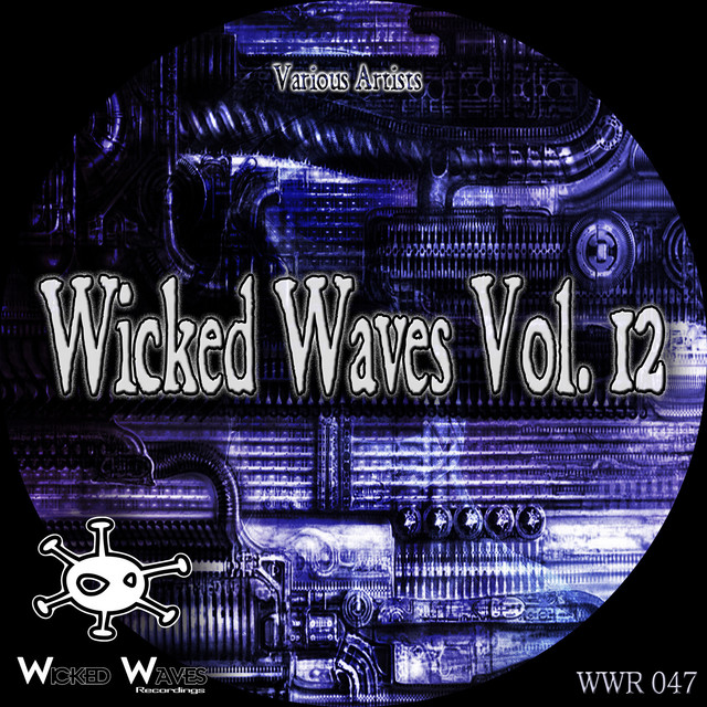 Wicked Waves Vol.12 - Compilation by Various Artists | Spotify