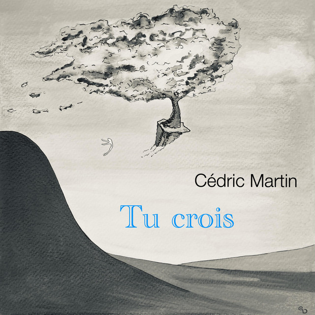 Tu crois - Single by Cédric Martin | Spotify