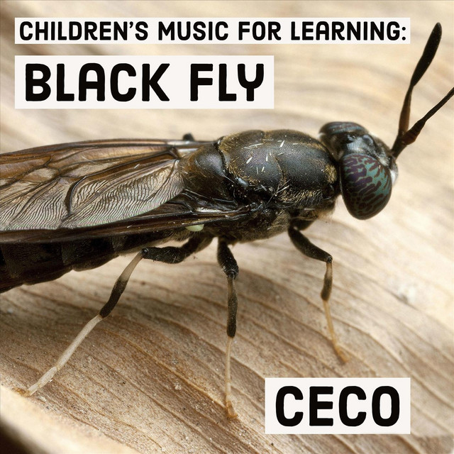 Children's Music for Learning: Black Fly - Single by Ceco | Spotify