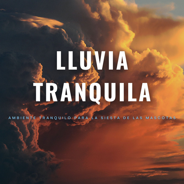 Lluvia Tranquila: Ambiente Tranquilo Para La Siesta De Las Mascotas ...