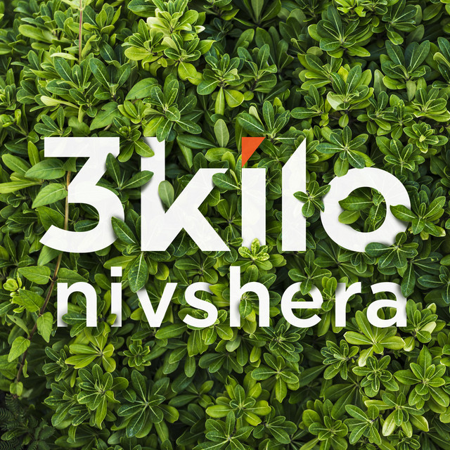 Nivshera - Original Mix - song by 3Kilo | Spotify
