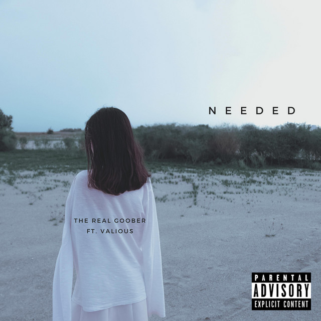 Needed - Single by The Real Goober | Spotify
