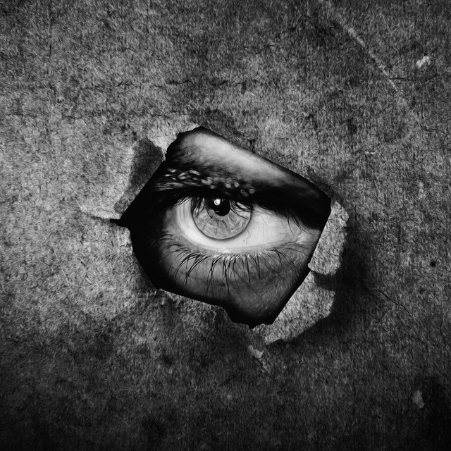 Miss Trust | Spotify