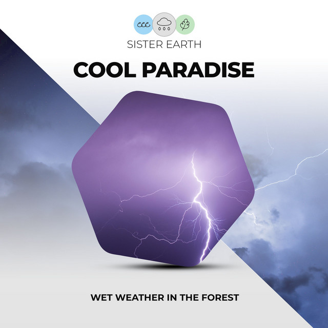Cool Paradise: Wet Weather in the Forest - Album by Thunderstorms | Spotify