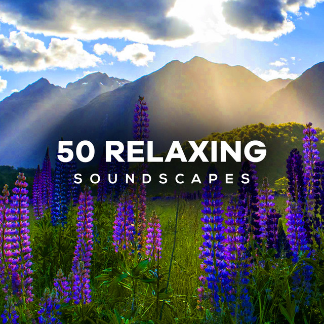 50 Relaxing Soundscapes - Album by Relax Meditation Sleep | Spotify