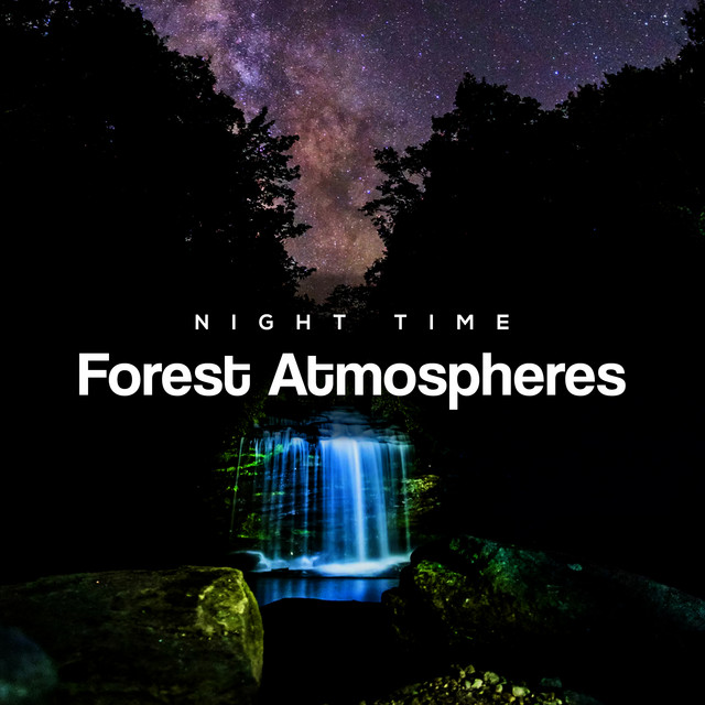 Night Time Forest Atmospheres - Album by Forest Sounds | Spotify