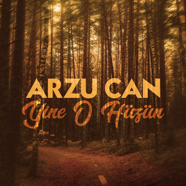 Arzu Can | Spotify