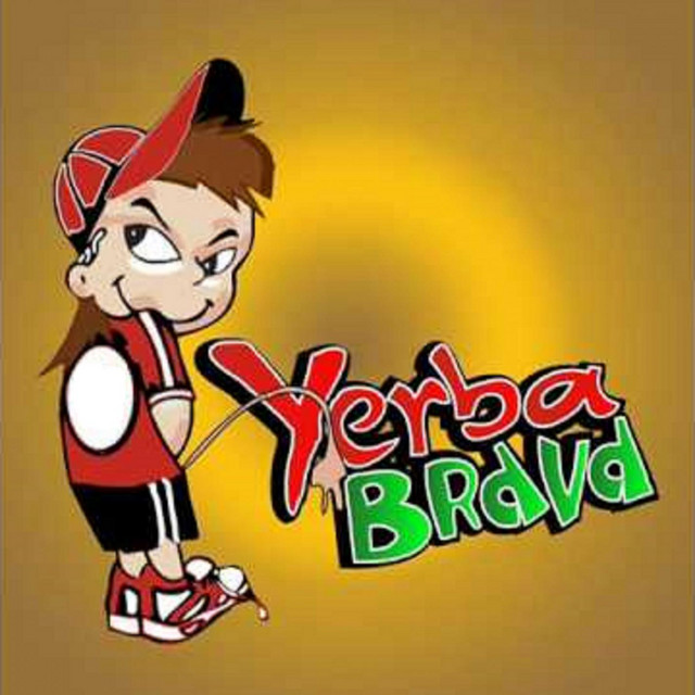 Yerba Brava Logo Guayakí Yerba Mate Partners With Major League
