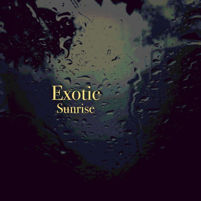 # 1 Album: Exotic Sunrise - Album by Loopable Ambience | Spotify