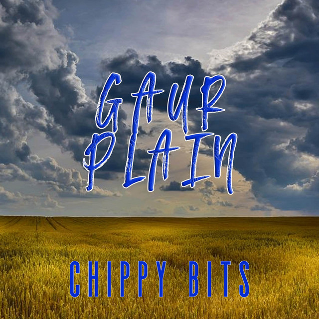 Gaur Plain (From "Xenoblade Chronicles") - Single by Chippy Bits | Spotify