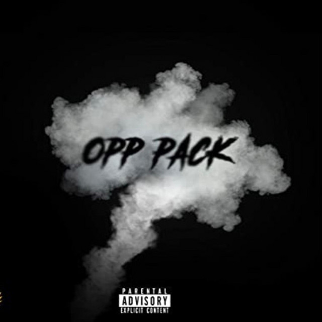 Opp Pack - Single by Dnekcab | Spotify