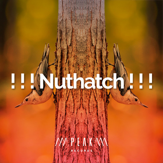 Nuthatch ! ! ! - Album by Sounds of Nature Noise | Spotify