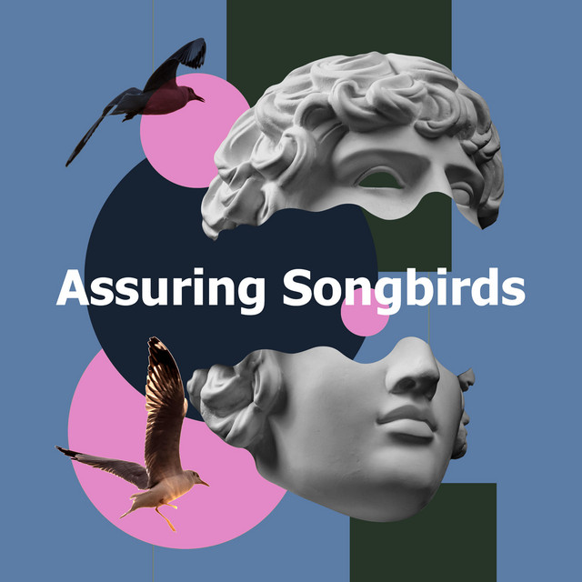 Assuring Songbirds - Album by Nature of Sweden | Spotify