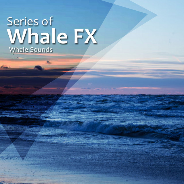 Series of Whale FX - Album by Whale Sounds | Spotify