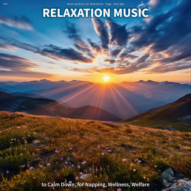 #01 Relaxation Music to Calm Down, for Napping, Wellness, Welfare ...