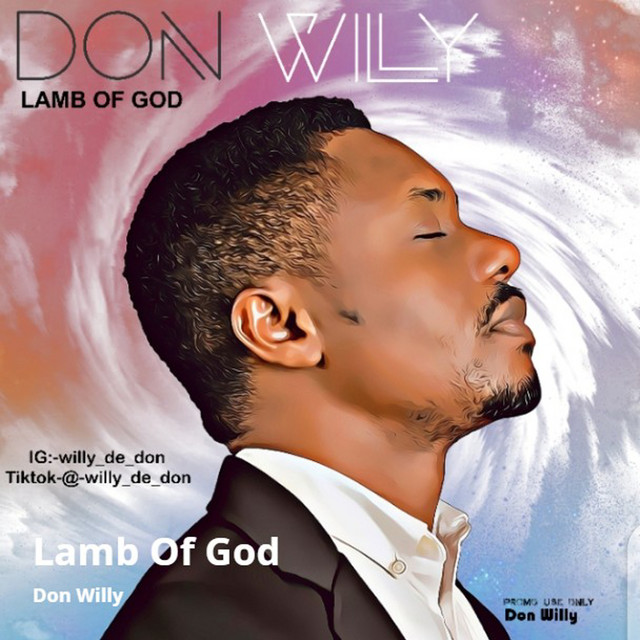 Don Willy | Spotify