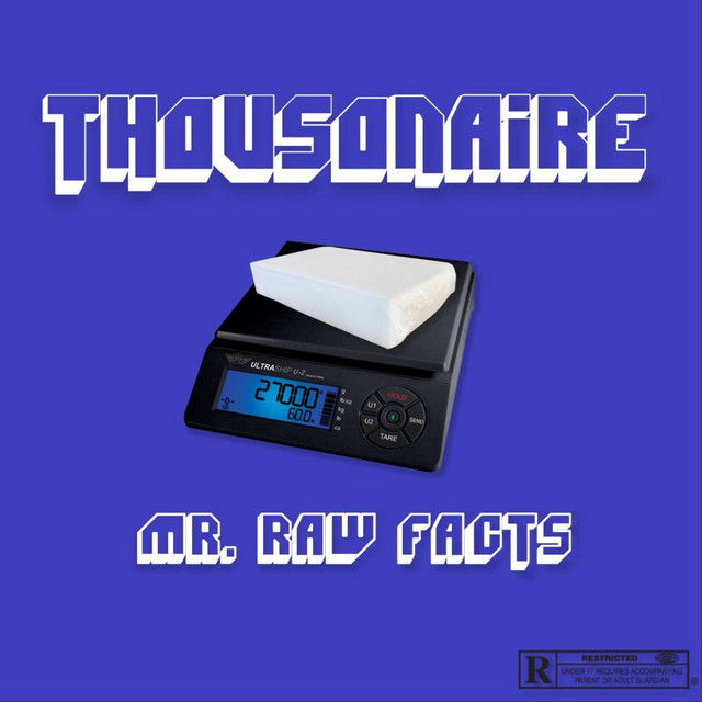 Mr. Raw Facts - song and lyrics by Thousonaire | Spotify