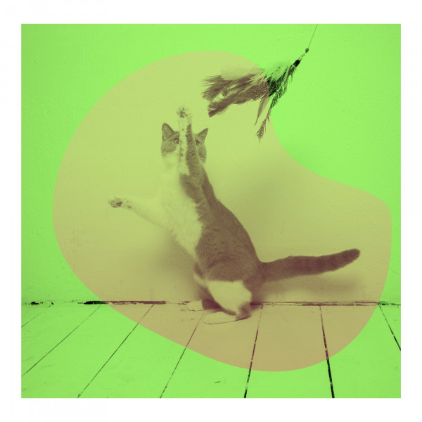 Happy Ambiance for Cute Cat - Album by Cat Music | Spotify