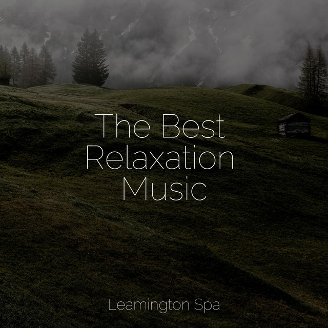 The Best Relaxation Music - Album by Rain Shower Spa | Spotify